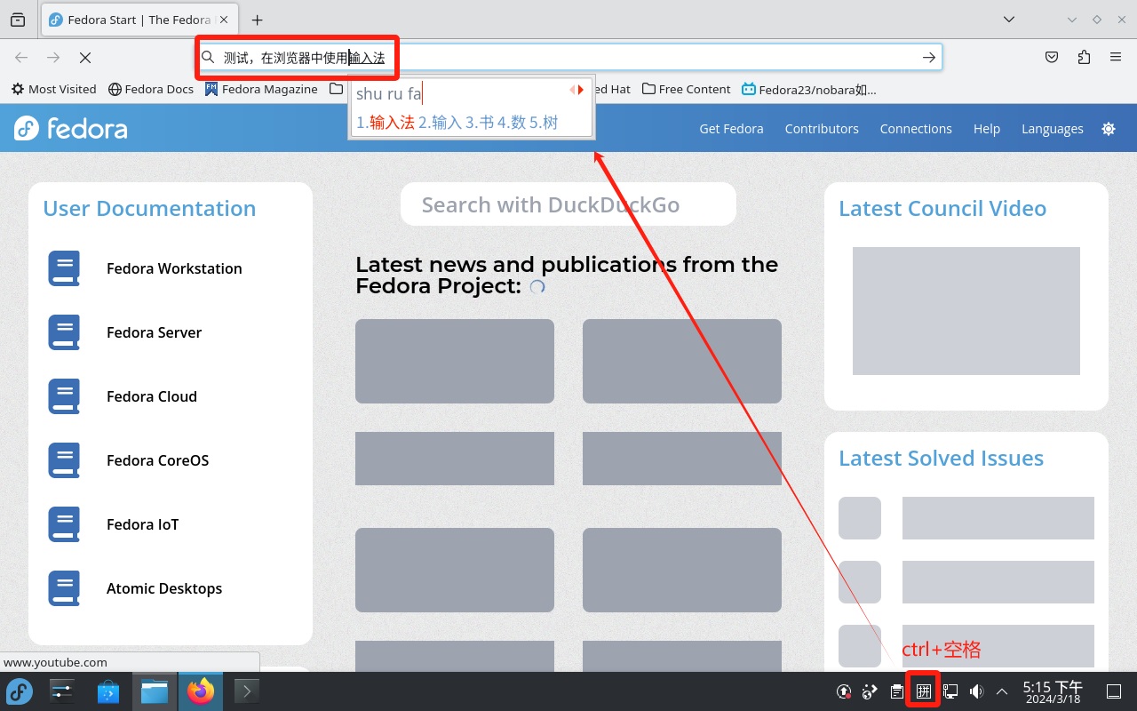 各种Linux如何安装fcitx5（踩坑版） | 我们的科技如此多分